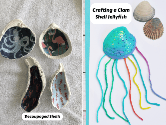 25 Creative Clam Activity Ideas For Kids - Teaching Expertise