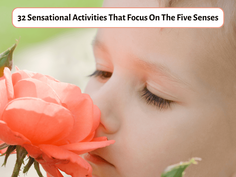5 Senses Activities For Kids: Exploring Through Sight, Sound, And More ...