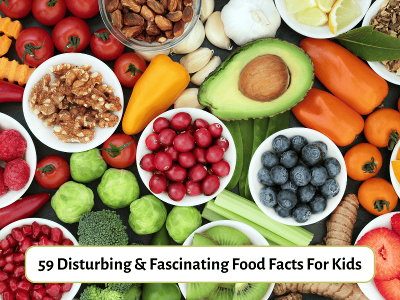 59 Disturbing & Fascinating Food Facts For Kids - Teaching Expertise