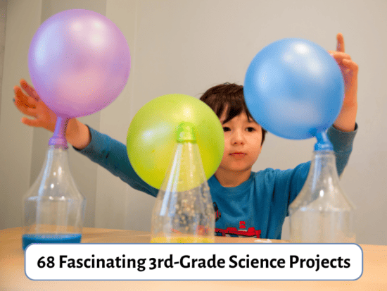 68 3rd Grade Science Projects: Crafts, Activities, And Resources ...